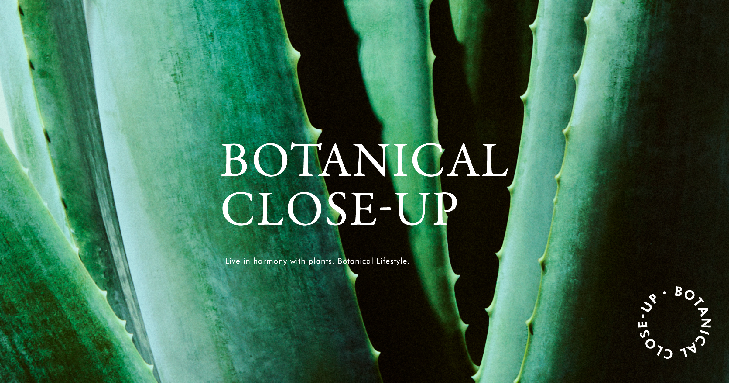 BOTANICAL CLOSE-UP | BOTANIST（ボタニスト